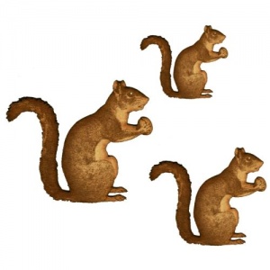 Squirrel with Walnut MDF Wood Shape